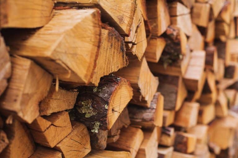 The Best and Worst Types of Wood to Burn in Your Fireplace — And Why It ...